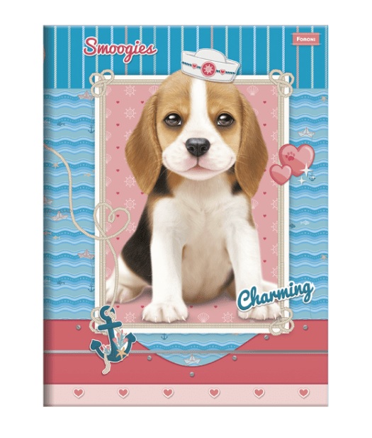 Caderno Brochurão Smoogies Capa Dura 48fls Foroni - Papelaria Criativa