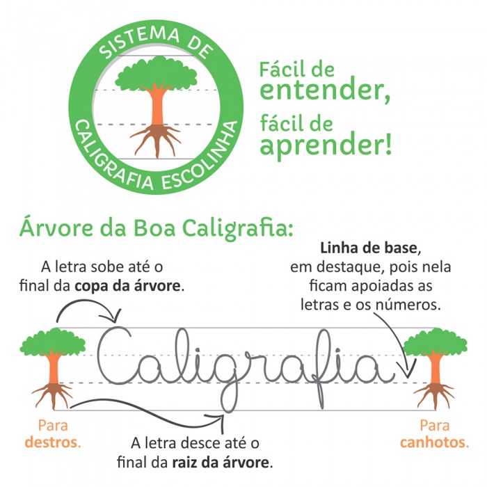 Livro Infantil Escute e Aprenda! Escreva Apague ABC com Sons TodoLivro ...